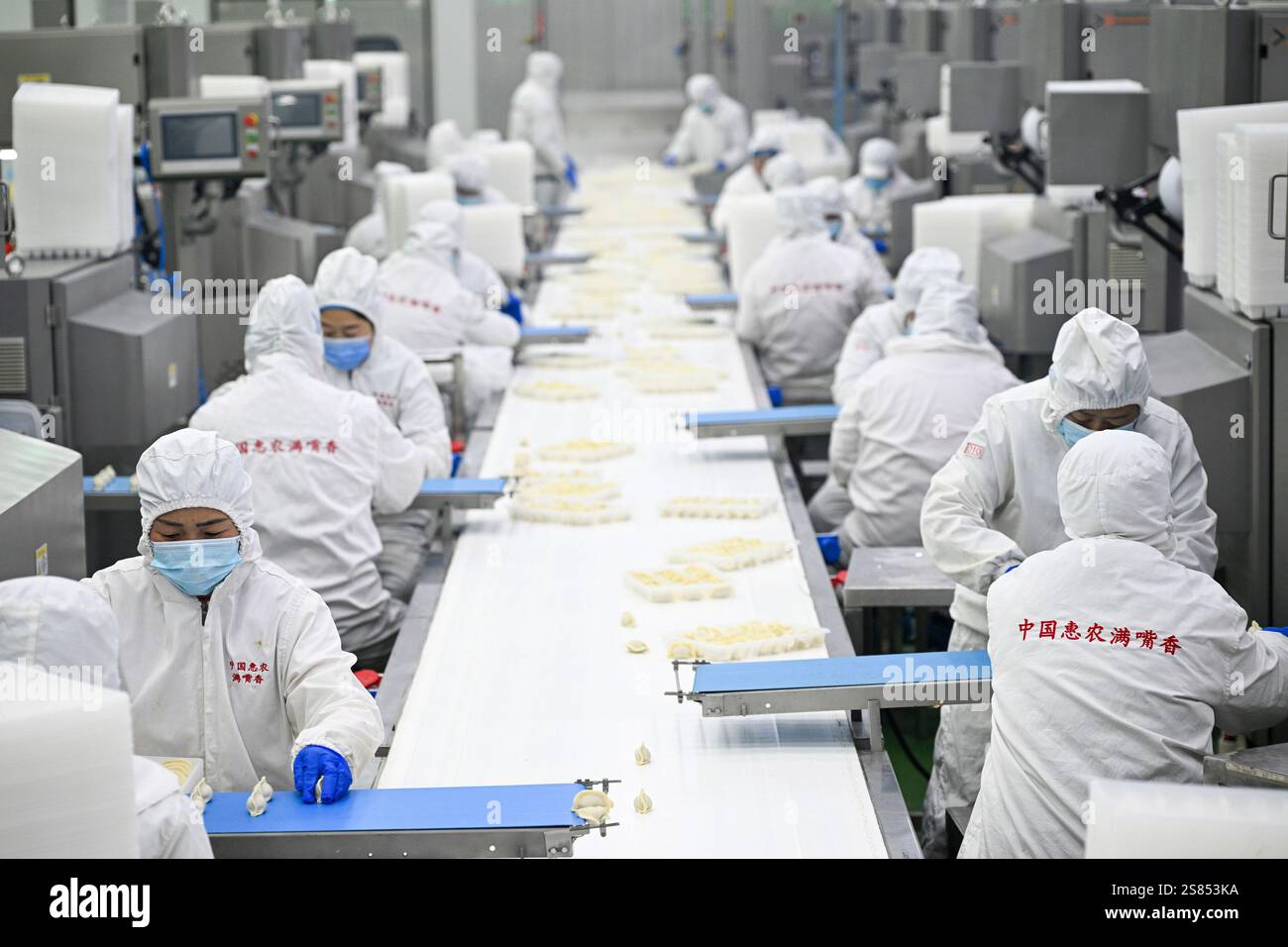 People work on a production line of dumplings at a food factory in ...