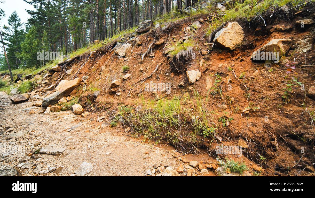 Tree roots and rocks exposed by soil erosion, revealing landscape ...