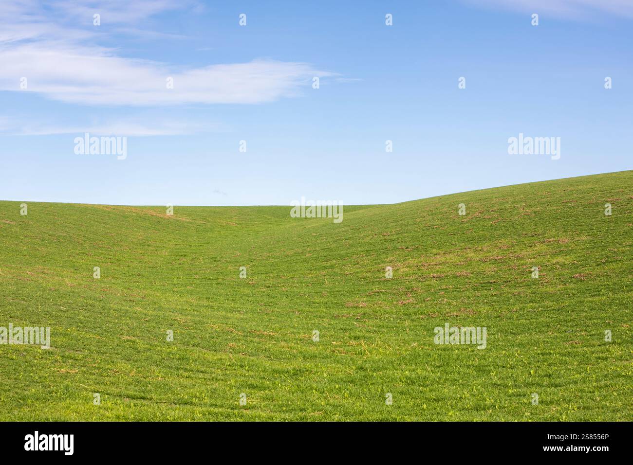 Horizon over grass hi-res stock photography and images - Alamy