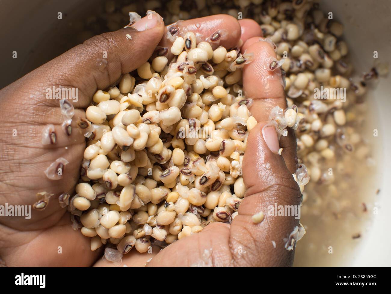 Overhead view of beans being washed, top view of blackeyed beans being ...