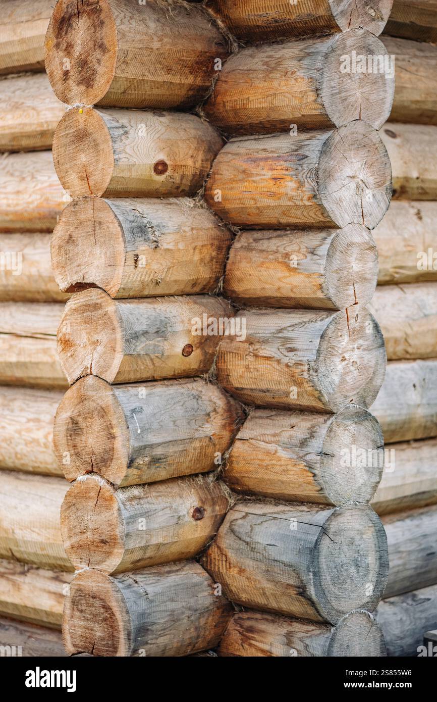 Rustic log cabin corner revealing precise interlocking woodwork ...