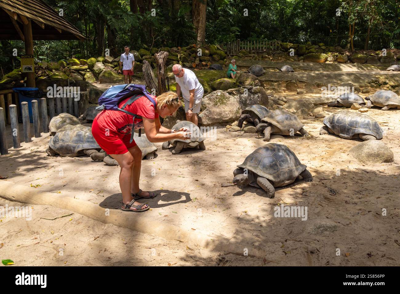 Tourists take photos giant hi-res stock photography and images - Alamy