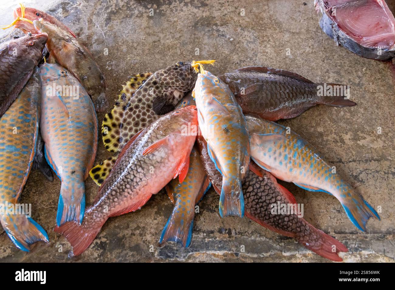 Colorful victoria market mahe island hi-res stock photography and ...