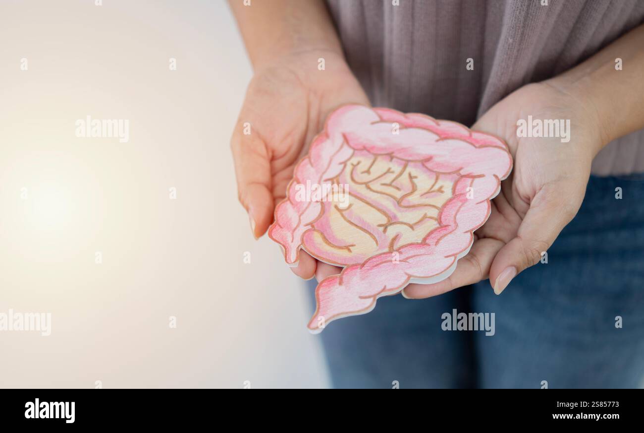 Selective focus of hands holding intestine shape over white background ...