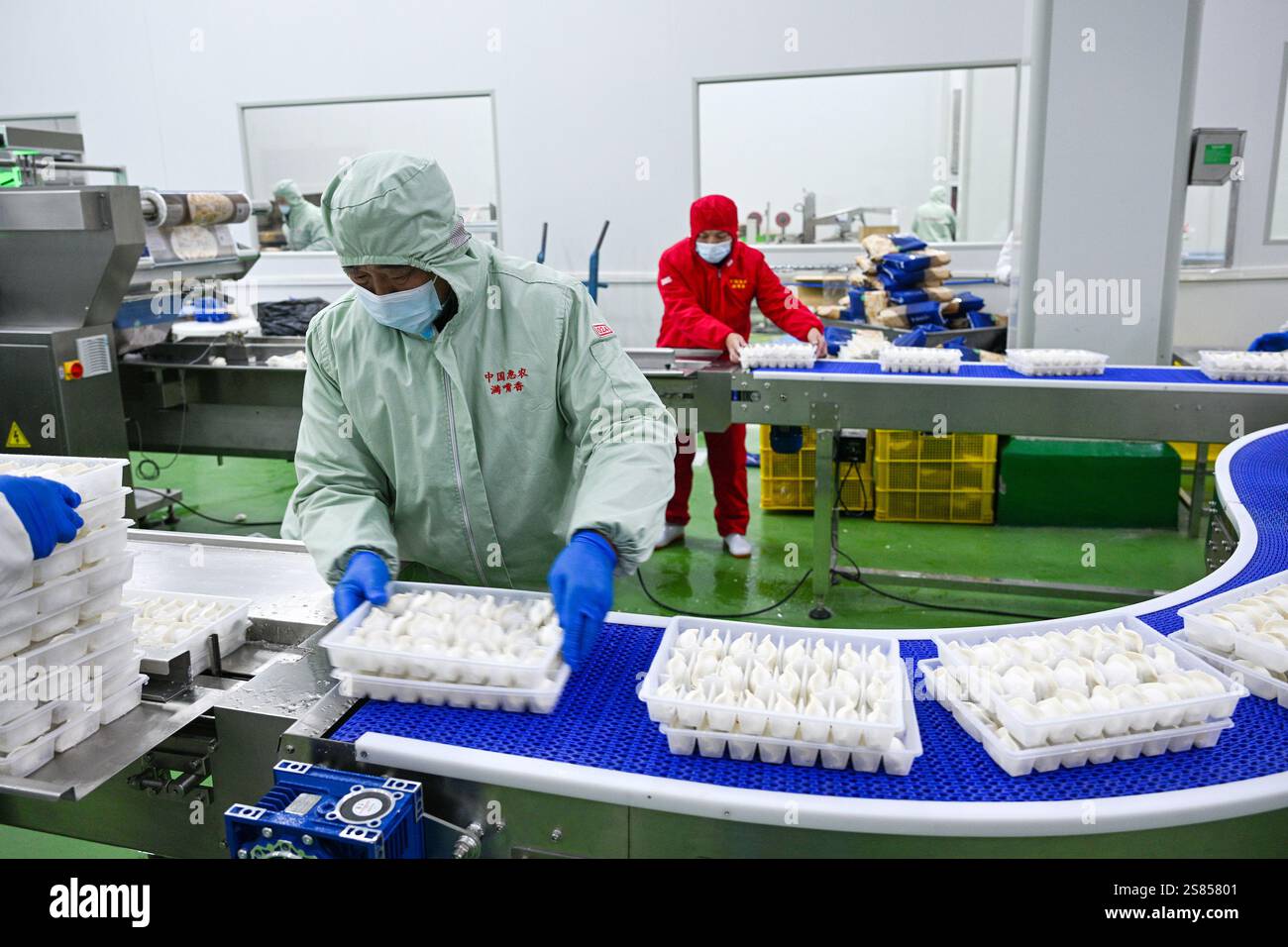 SUQIAN, CHINA - JANUARY 21, 2025 - Workers work on a production line at ...