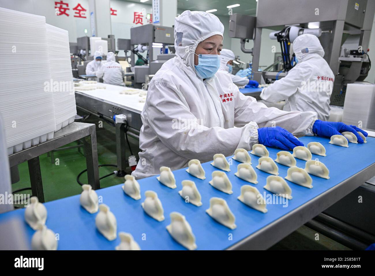 SUQIAN, CHINA - JANUARY 21, 2025 - Workers work on a production line at ...