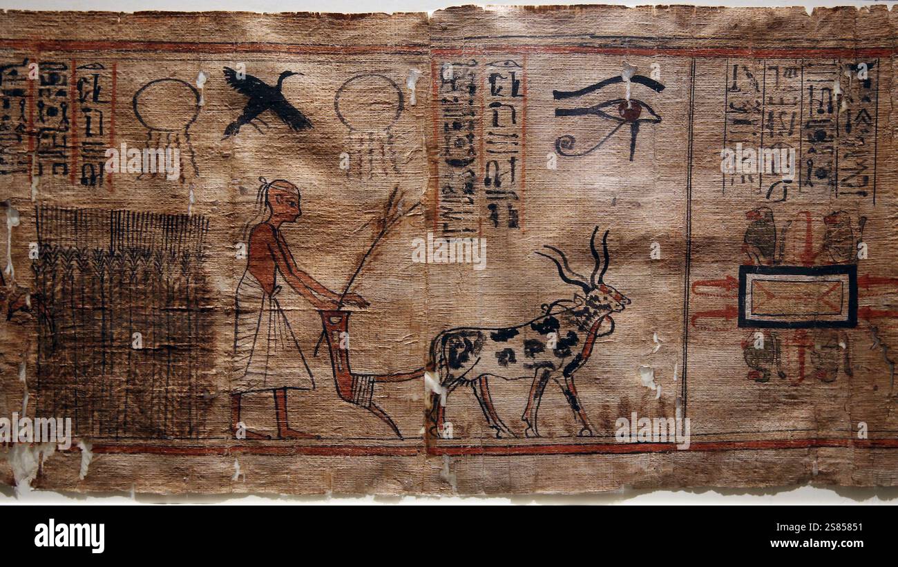 Book of the Dead of Nebhepet, scribe of the Necropolis. Cyperus papyrus ...