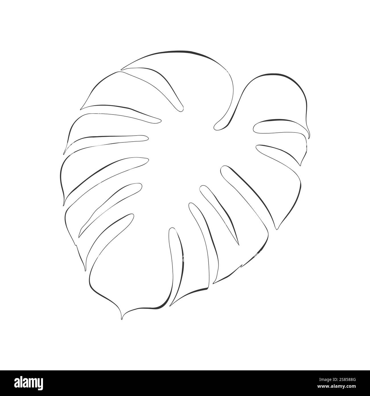 Monstera outline contour, philodendron leaf, isolated on white ...