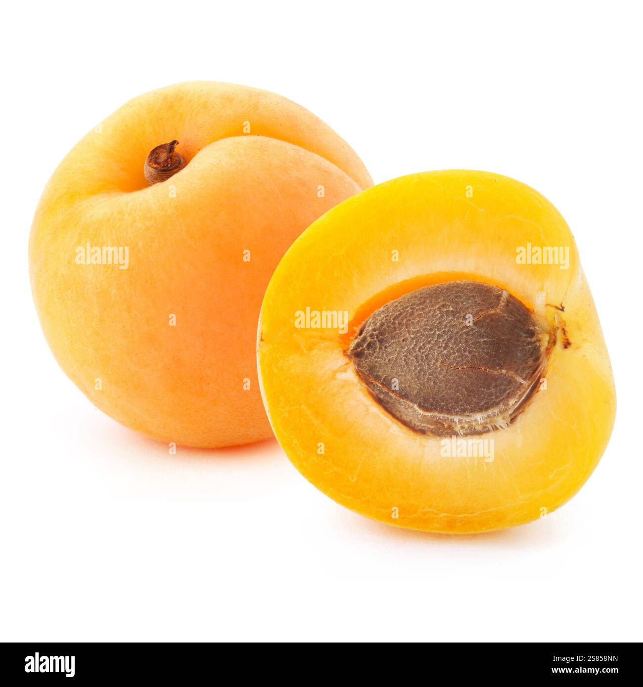Apricot fruits isolated Stock Photo - Alamy