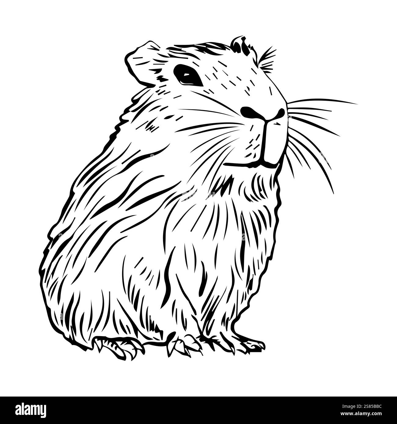 Funny capybara in flat design. South American adorable animals in ...