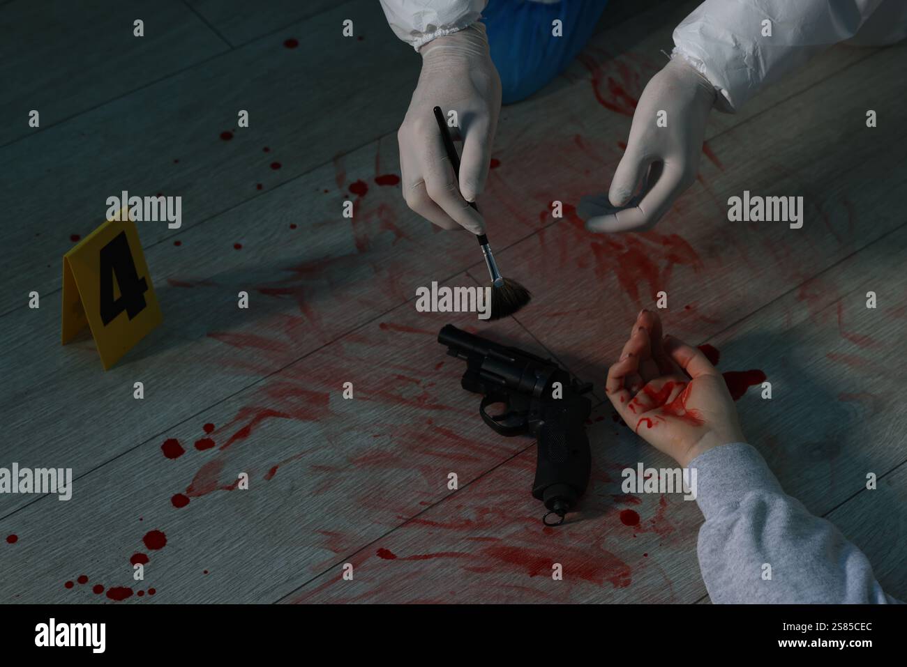 Forensic expert taking fingerprints with brush from gun and dead woman's body at crime scene ...