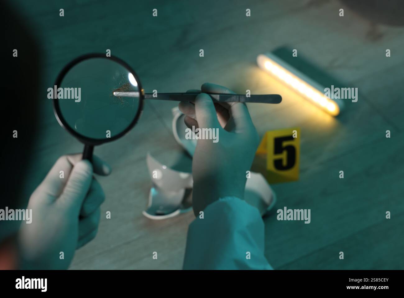 Forensic expert with tweezers examining hair through magnifying glass ...