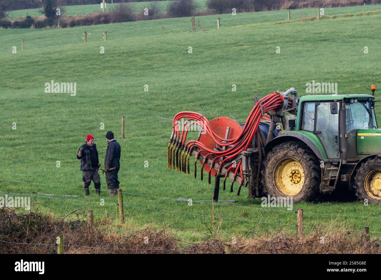 Timoleague, West Cork, Ireland. 20th Jan, 2025. Dairy farmer David ...