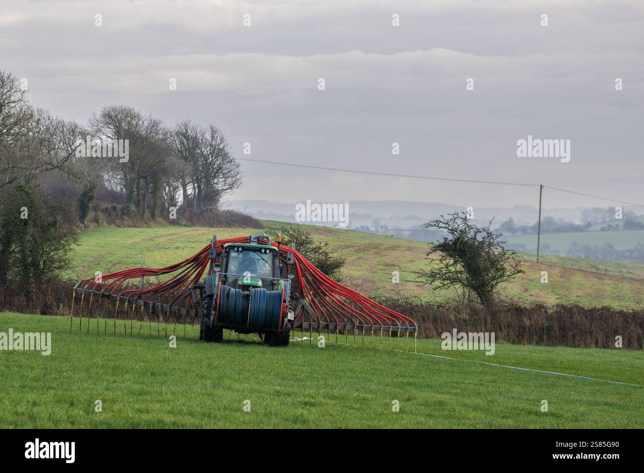 Timoleague, West Cork, Ireland. 20th Jan, 2025. Dairy farmer David ...