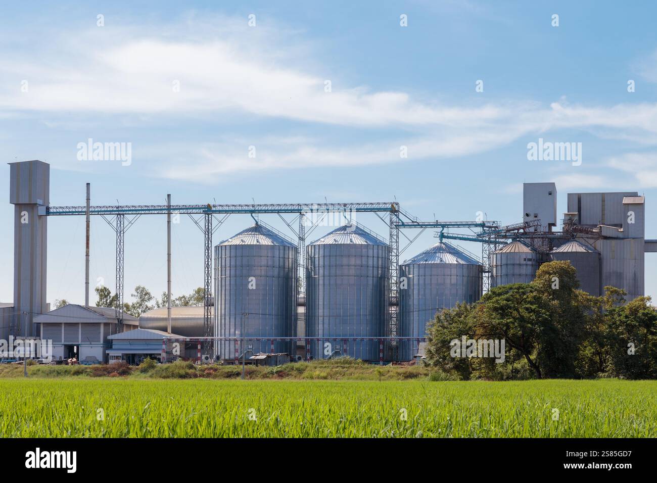 agriculture rice grain storage silos and food production factory on a ...