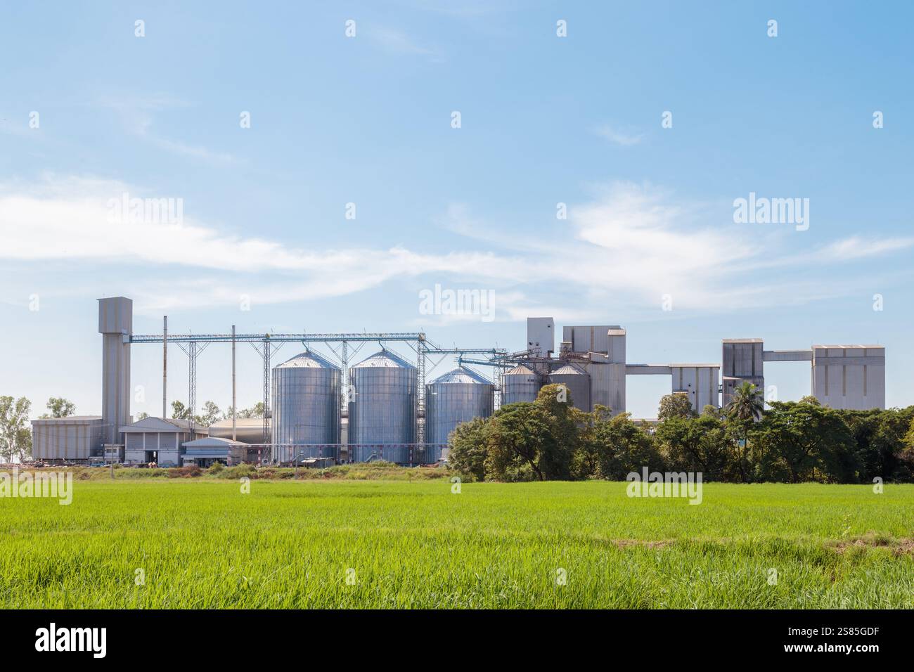 agriculture rice grain storage silos and food production factory on a ...