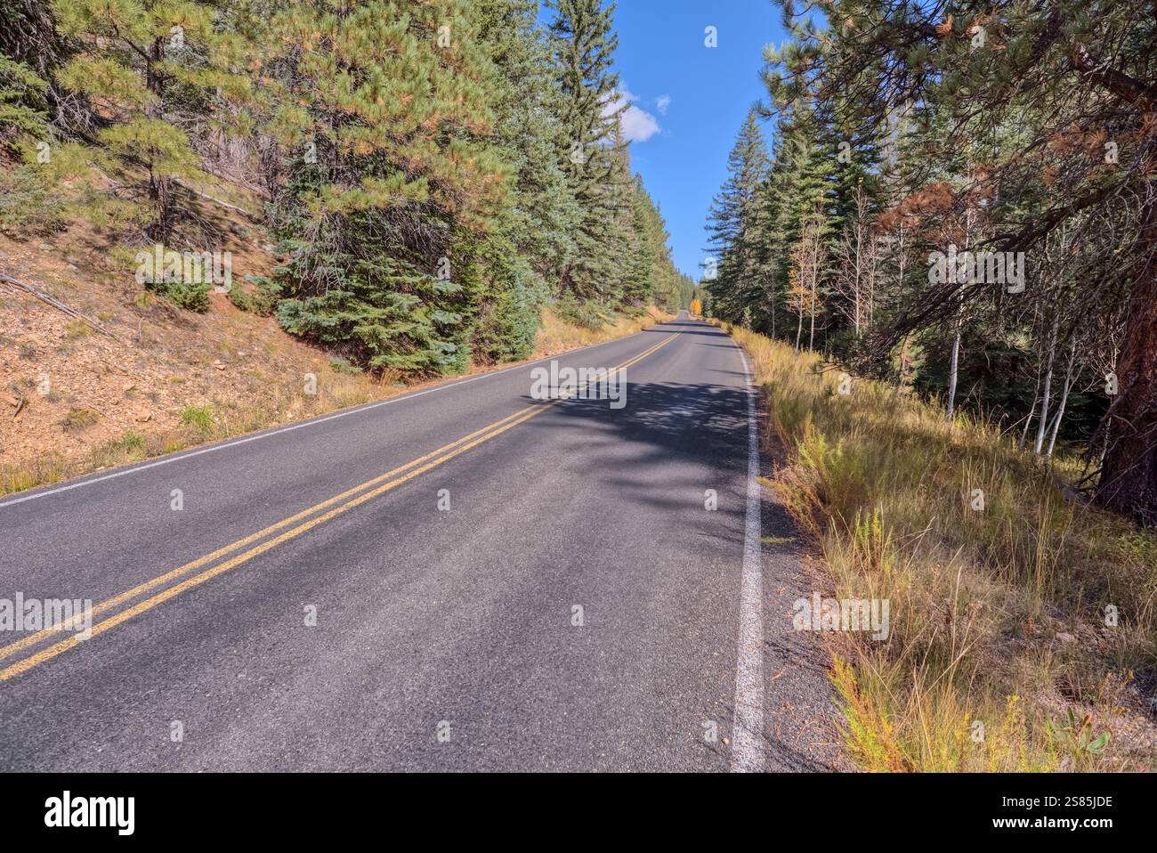 Cape Royal Road winding through Fuller Canyon at Grand Canyon North Rim ...