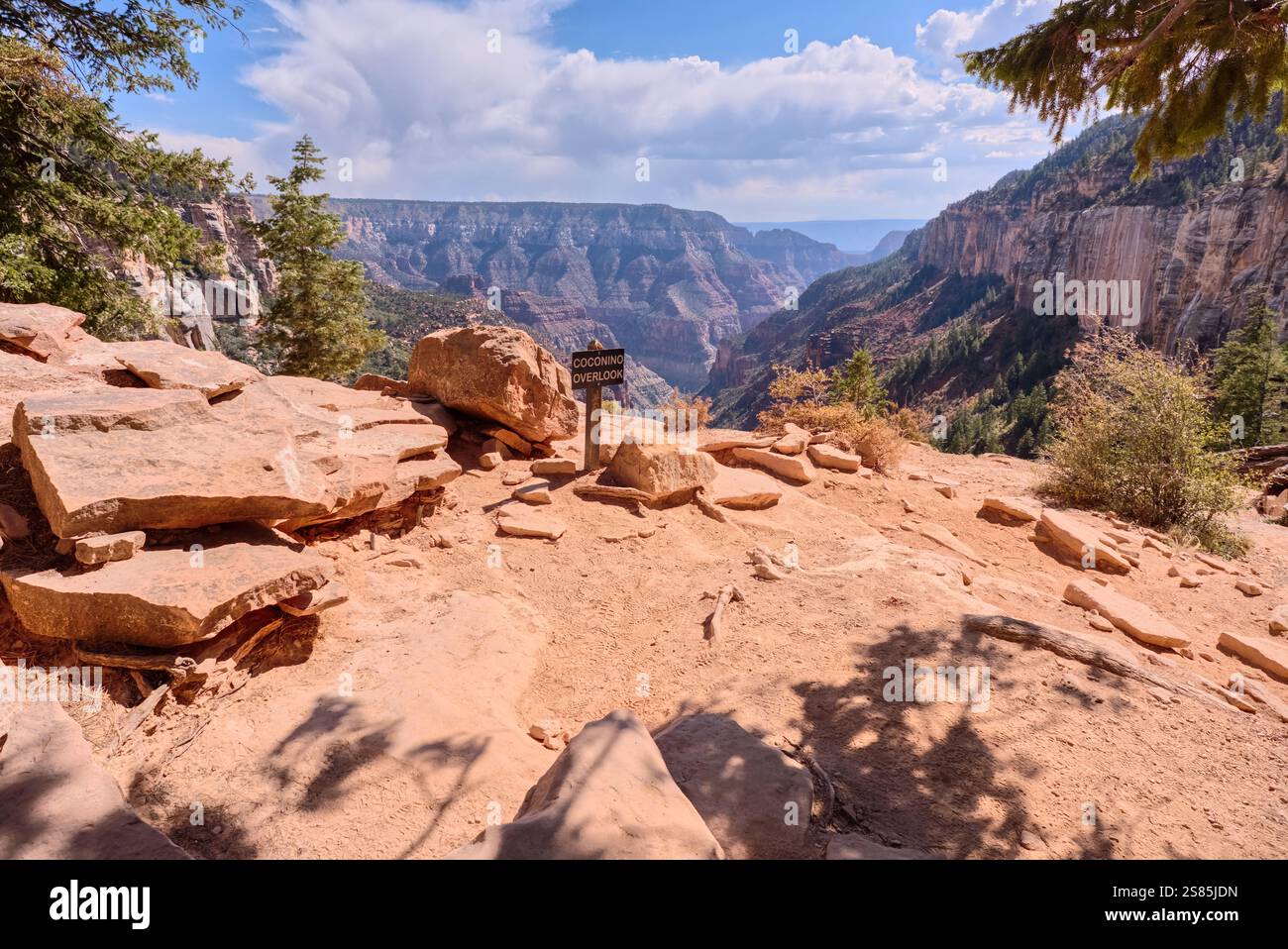 The Coconino Overlook along the North Kaibab Trail at Grand Canyon ...