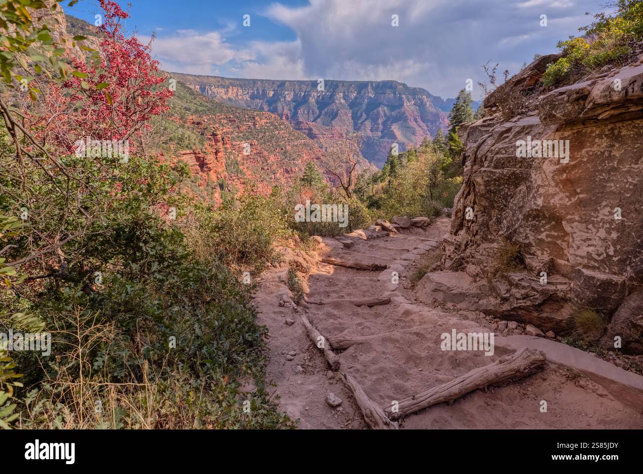 A curve in the North Kaibab Trail between Coconino Overlook and the ...