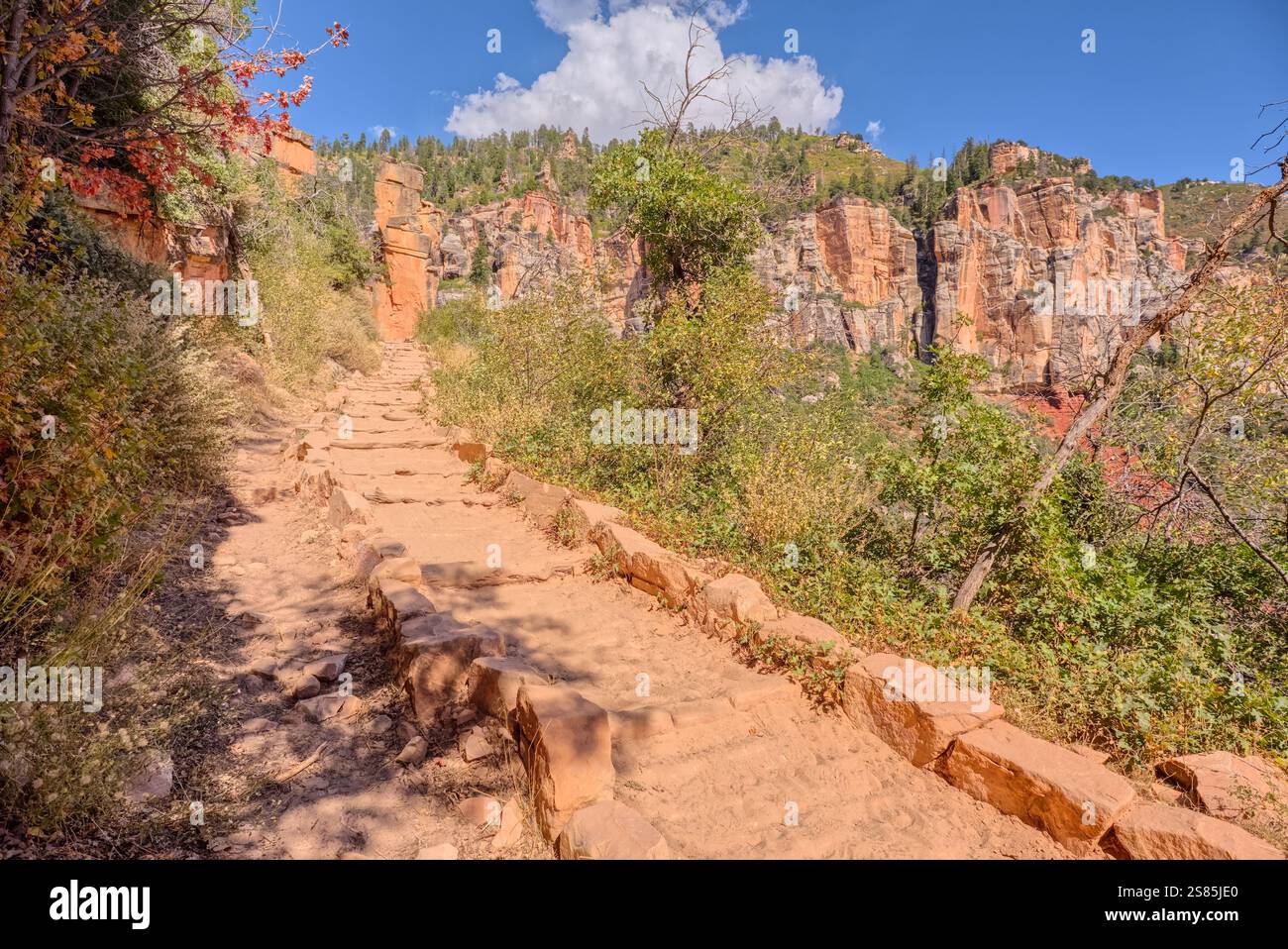 The 18th switchback along the North Kaibab Trail at Grand Canyon North ...