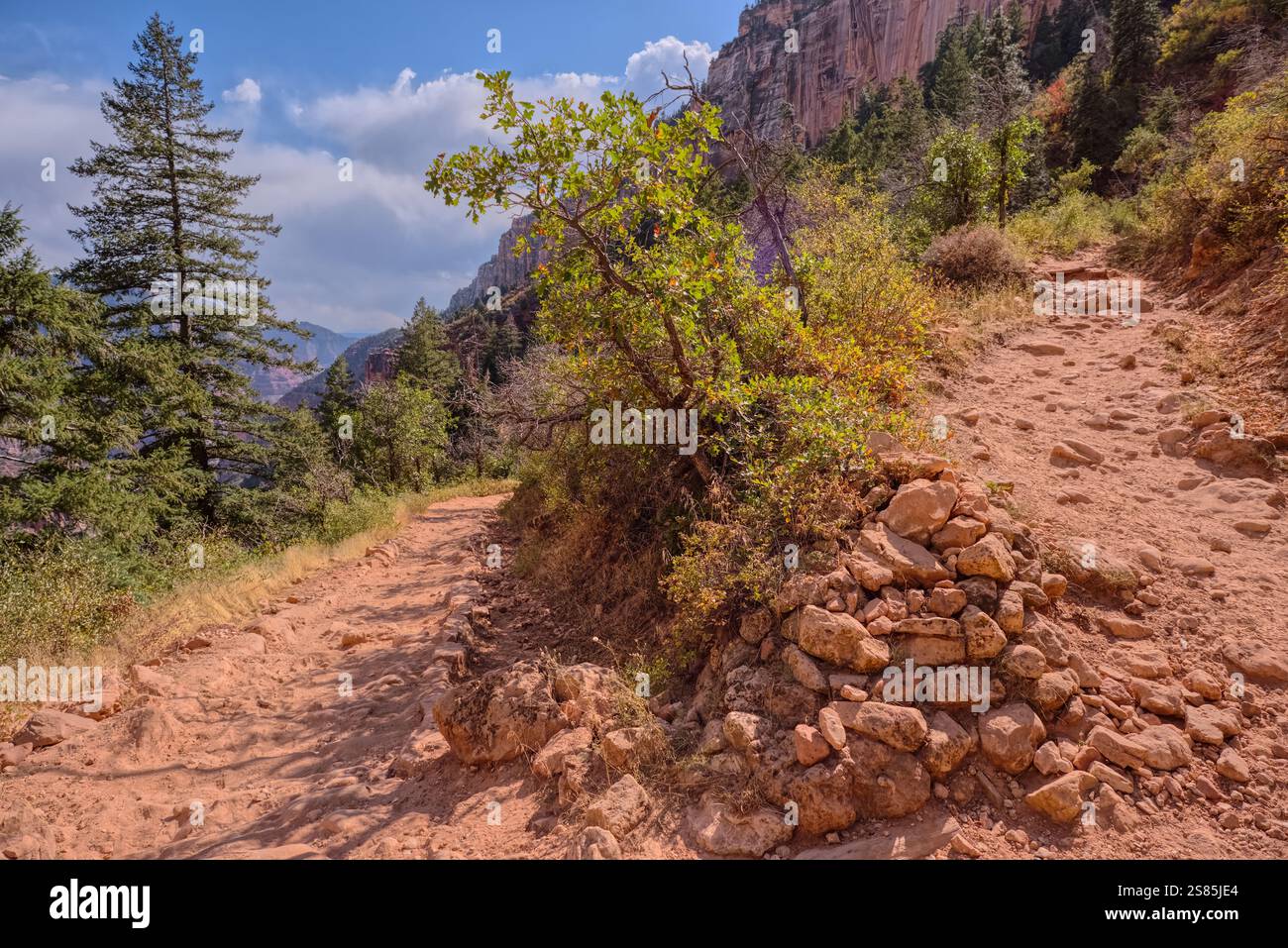 The 20th switchback along the North Kaibab Trail at Grand Canyon North ...