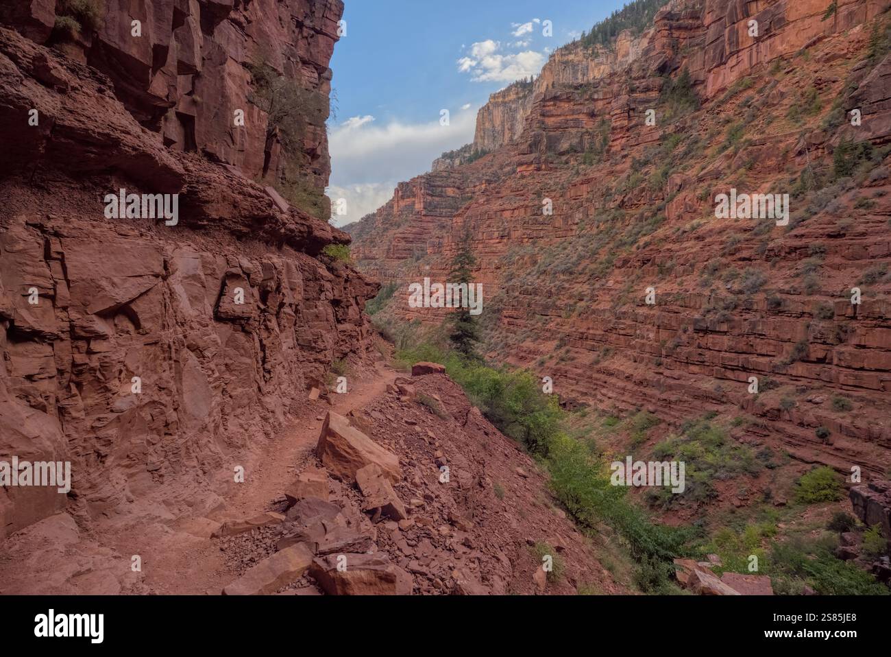 The sheer cliff of the Red Wall along the North Kaibab Trail, Grand ...