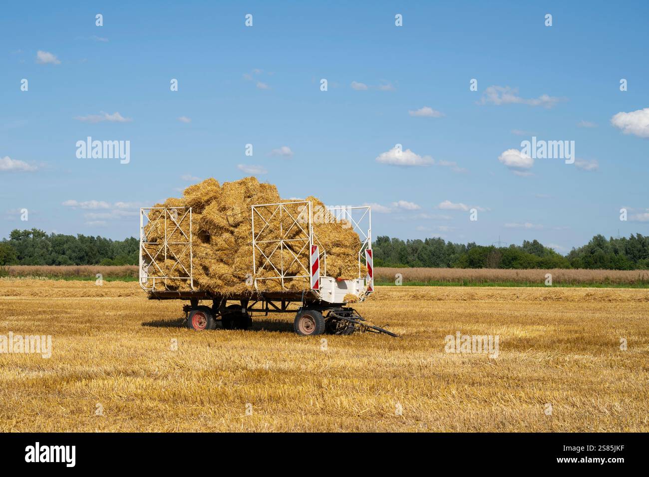 Hay wagon on a grain field Stock Photo - Alamy