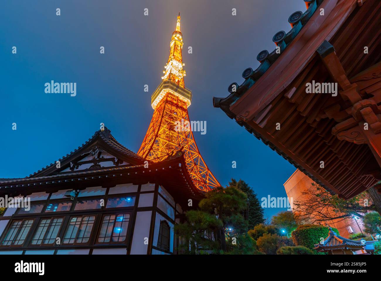 View of Tokyo Tower and Rurikoji Buddhist Temple at night, Minato City, Tokyo, Honshu, Japan ...