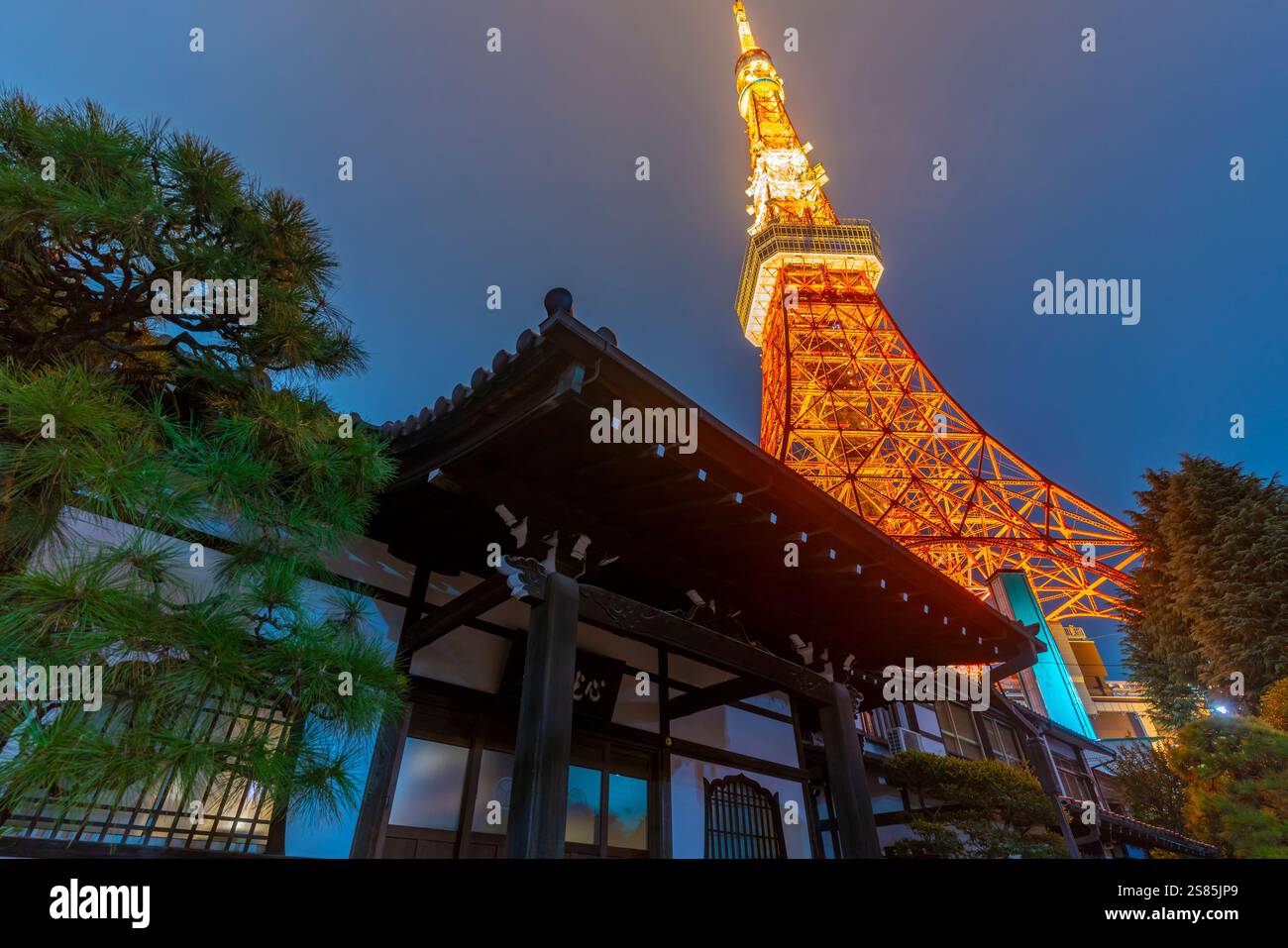 View of Tokyo Tower and Rurikoji Buddhist Temple at night, Minato City ...