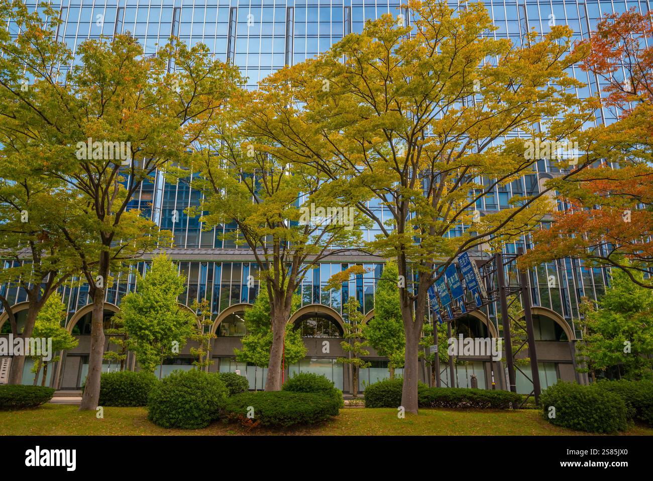View of colourful trees turning in autumn against modern buildings ...