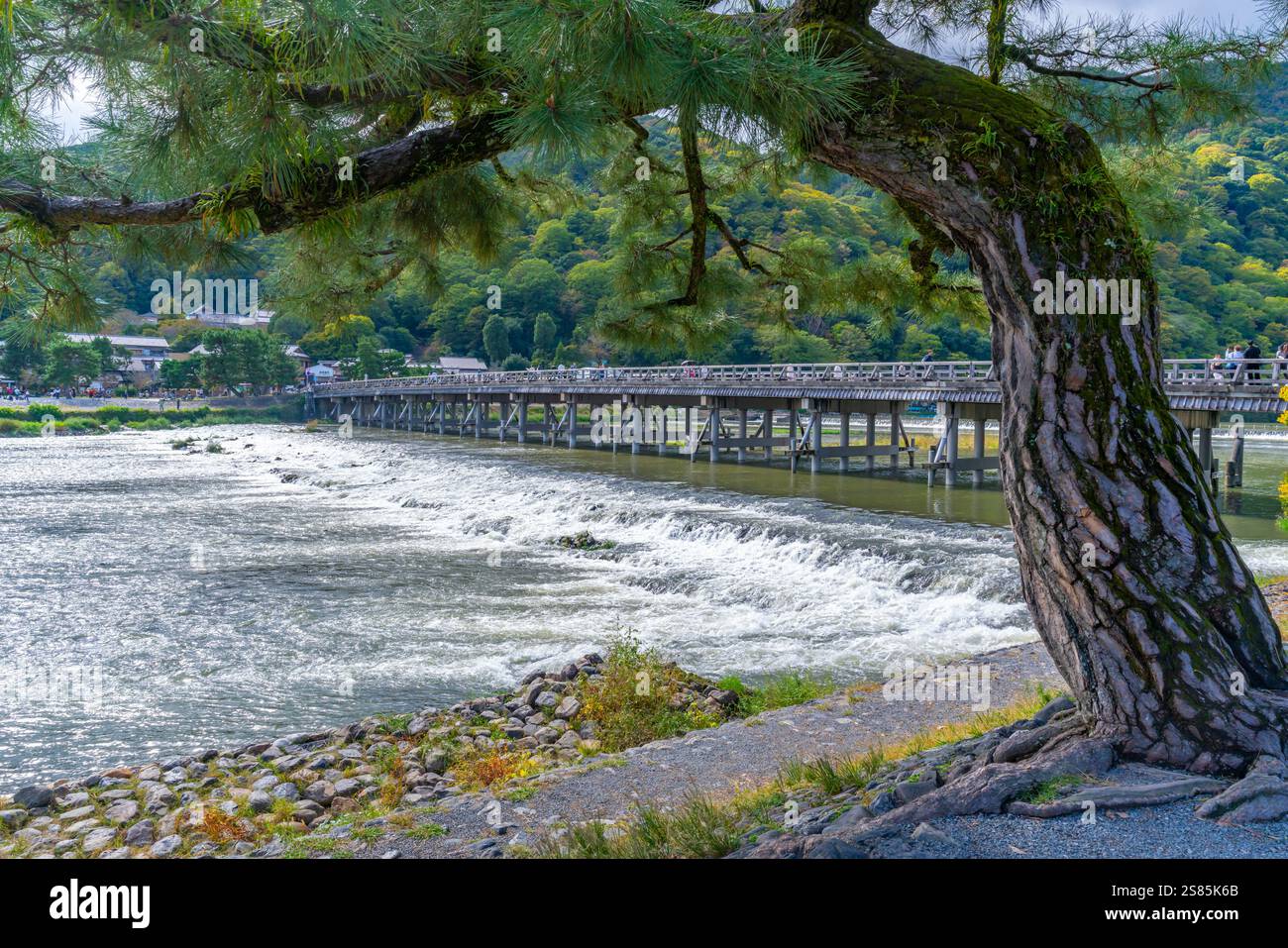 View of Togetsukyo Bridge over Katsura River, Sagatenryuji ...