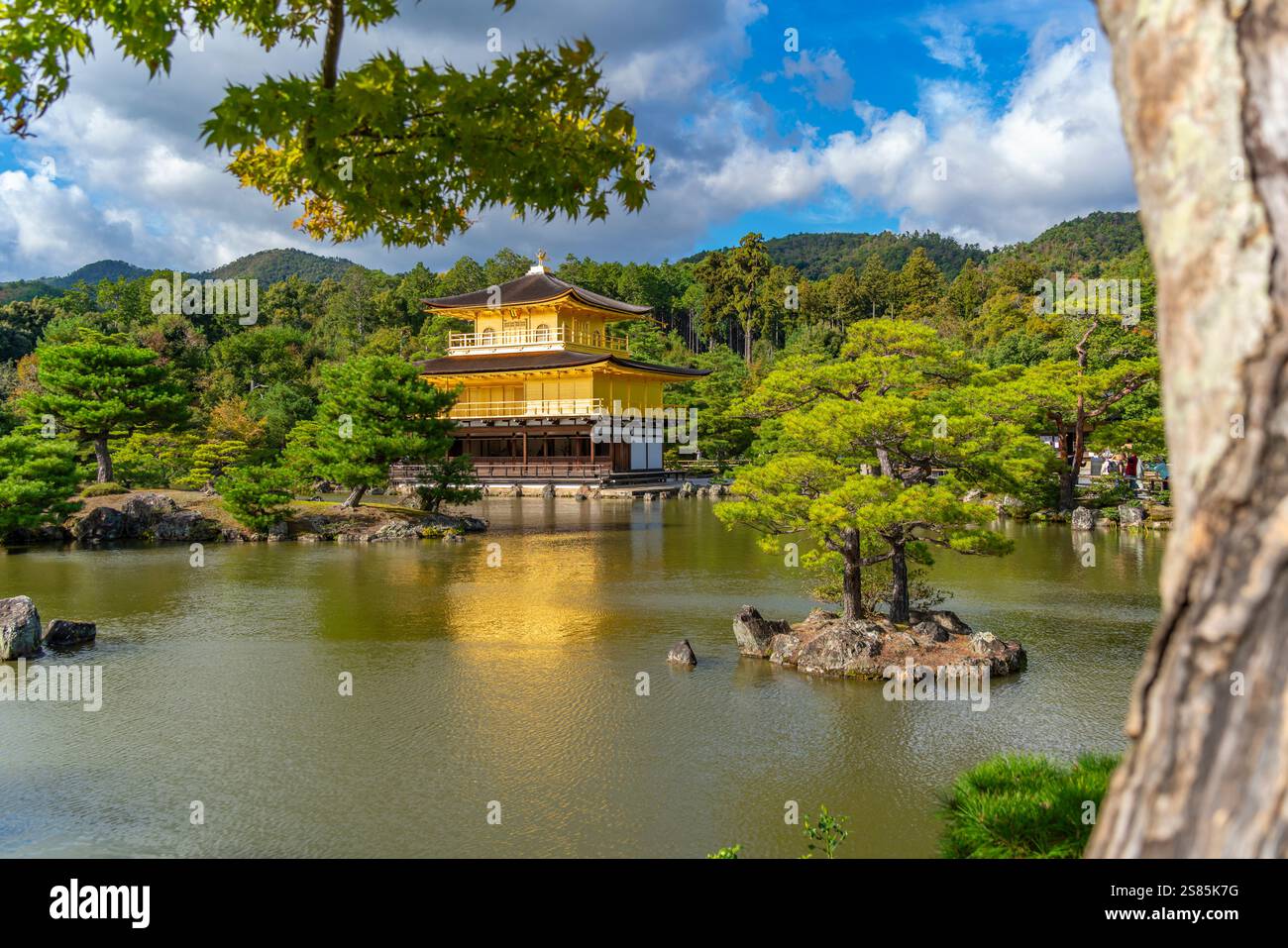 View of Golden Temple (Kinkaku-ji) (Temple of the Golden Pavilion ...