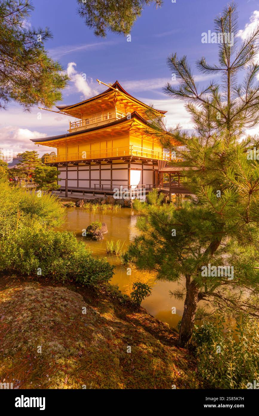 View of Golden Temple (Kinkaku-ji) (Temple of the Golden Pavilion ...