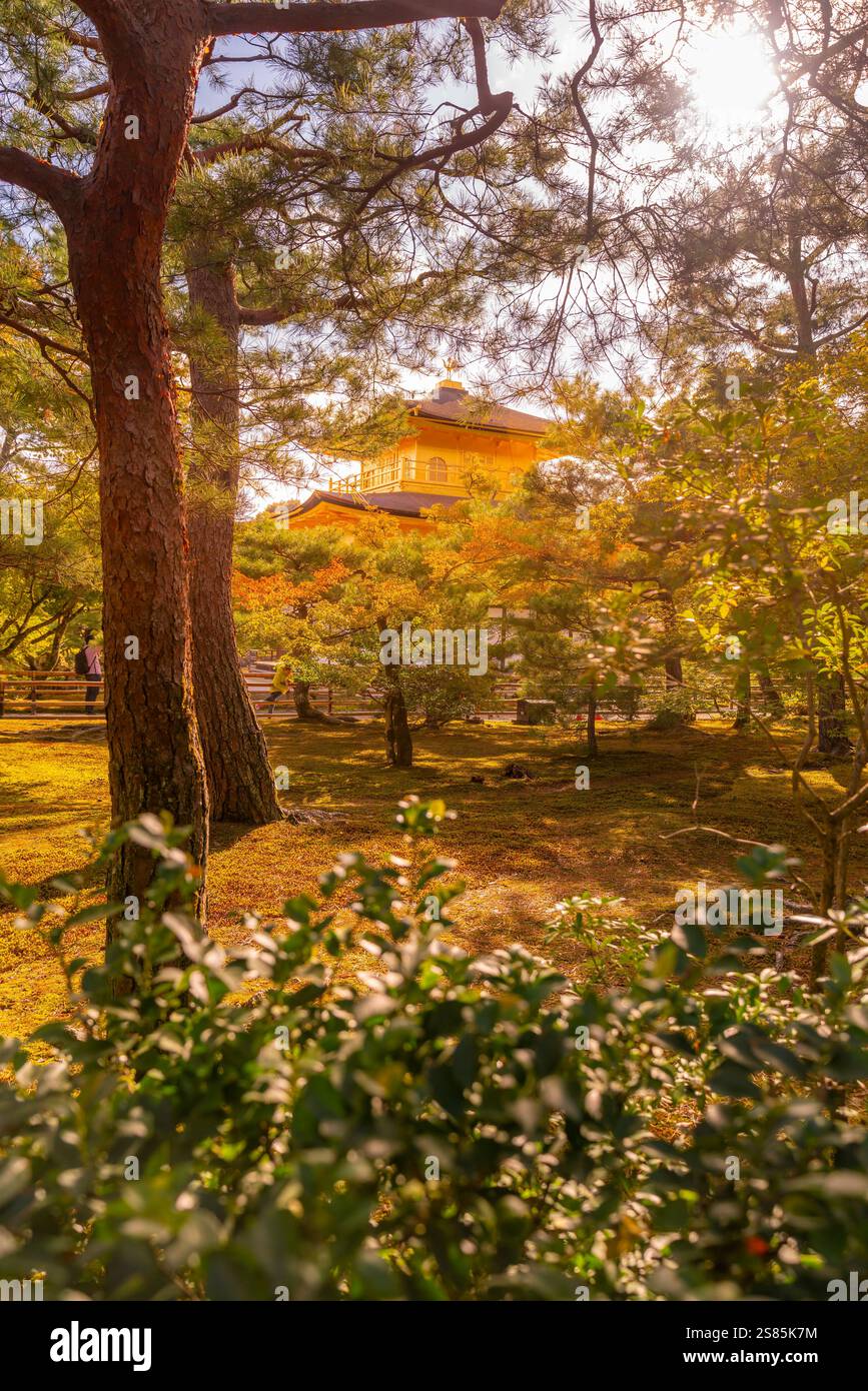 View of Golden Temple (Kinkaku-ji) (Temple of the Golden Pavilion ...
