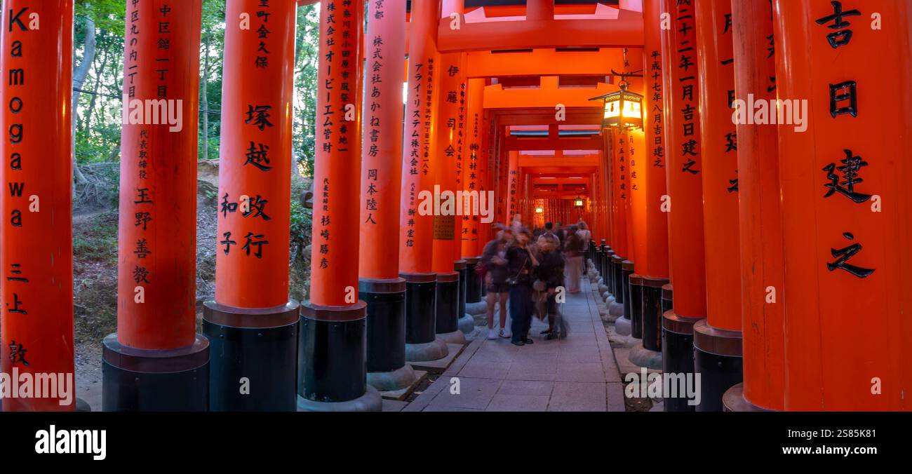 View of The Endless Red Gates (Torii) at Fushimi Inari Shrine at dusk ...