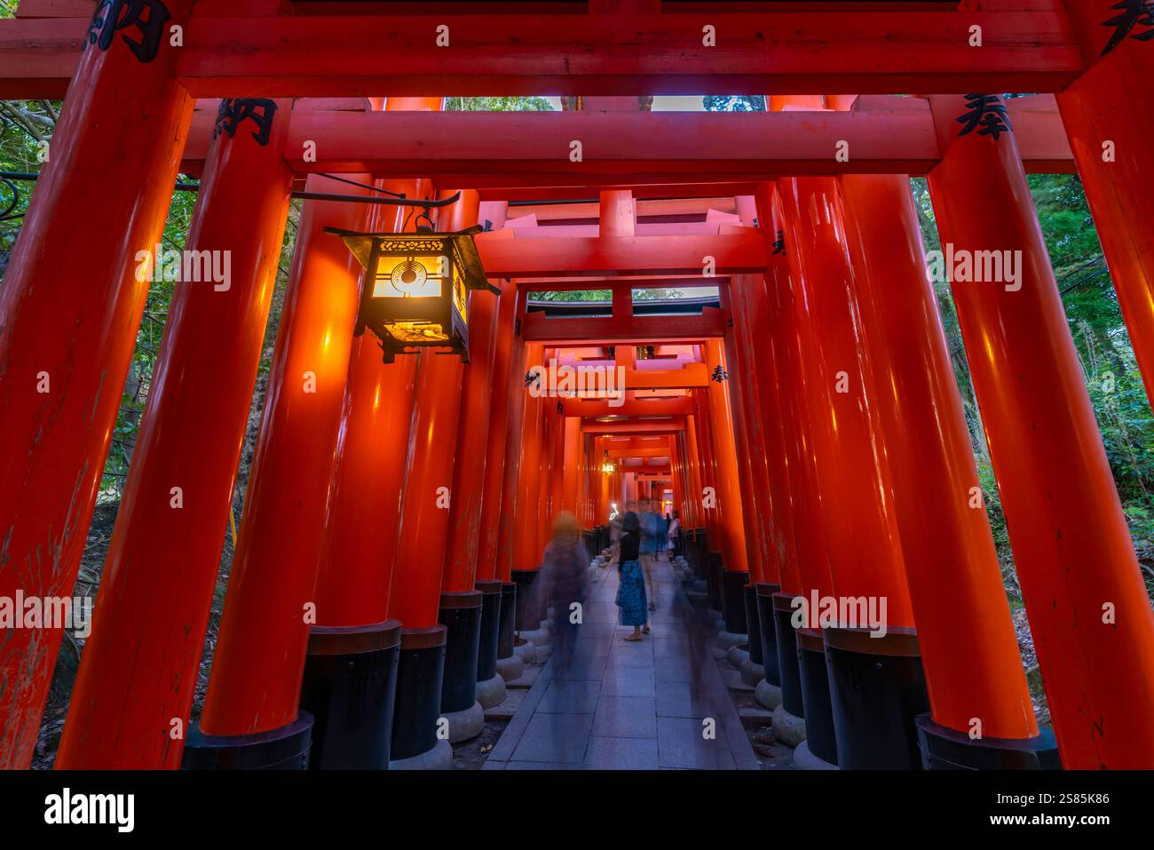 View of The Endless Red Gates (Torii) at Fushimi Inari Shrine at dusk ...