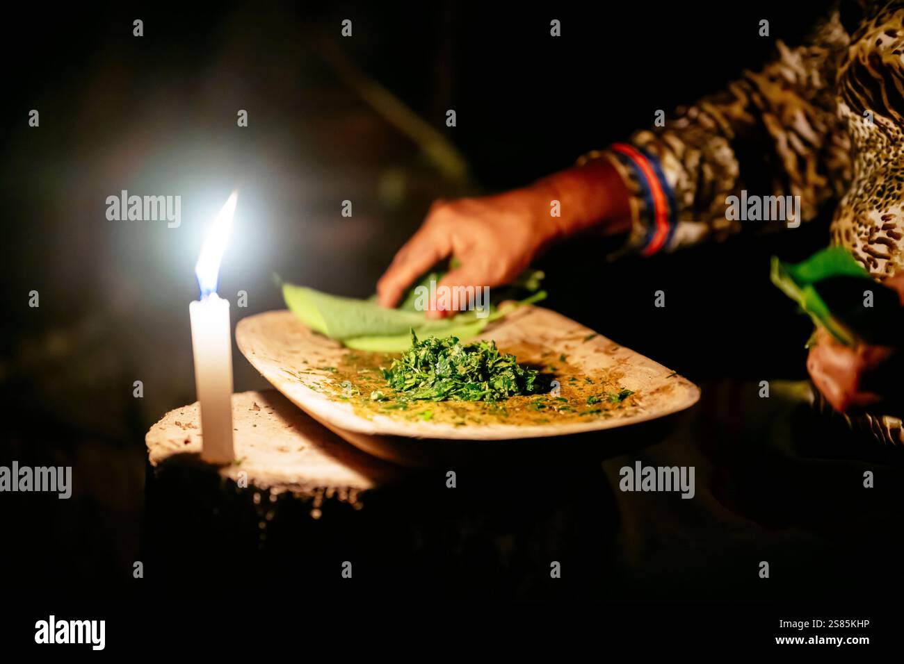 Guayusa Upina Ceremony, Sinchi Warmi, Amazonia, Napo Province, Ecuador ...