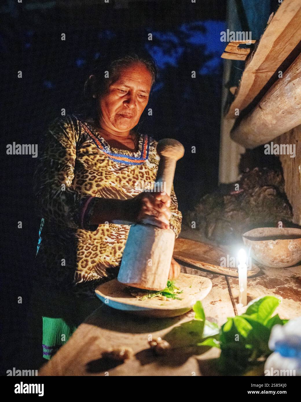 Guayusa Upina Ceremony, Sinchi Warmi, Amazonia, Napo Province, Ecuador ...