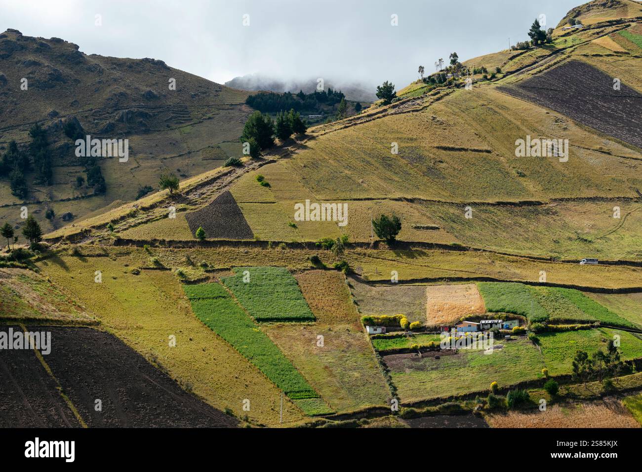 Ecuador rural countryside fields hi-res stock photography and images ...