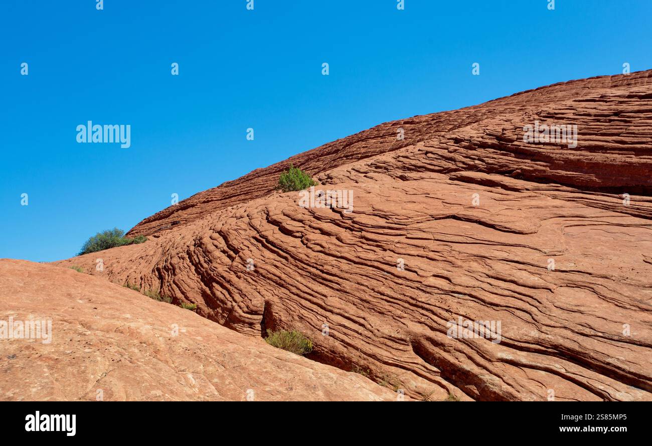 Petrified sand dunes, White Canyon State Park, Red Cliffs Desert ...