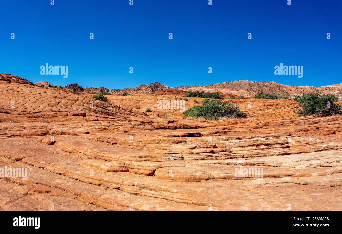 Petrified sand dunes, White Canyon State Park, Red Cliffs Desert ...