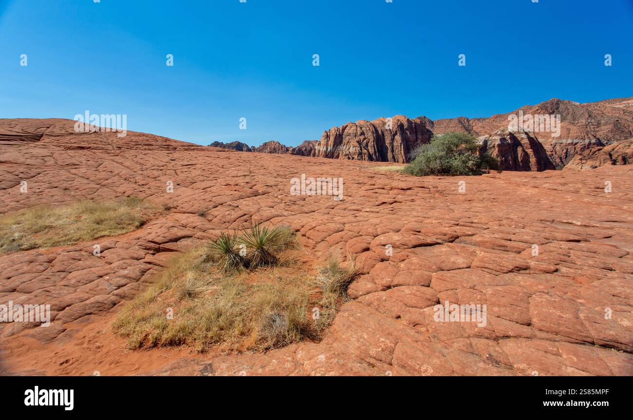 Petrified sand dunes, White Canyon State Park, Red Cliffs Desert ...