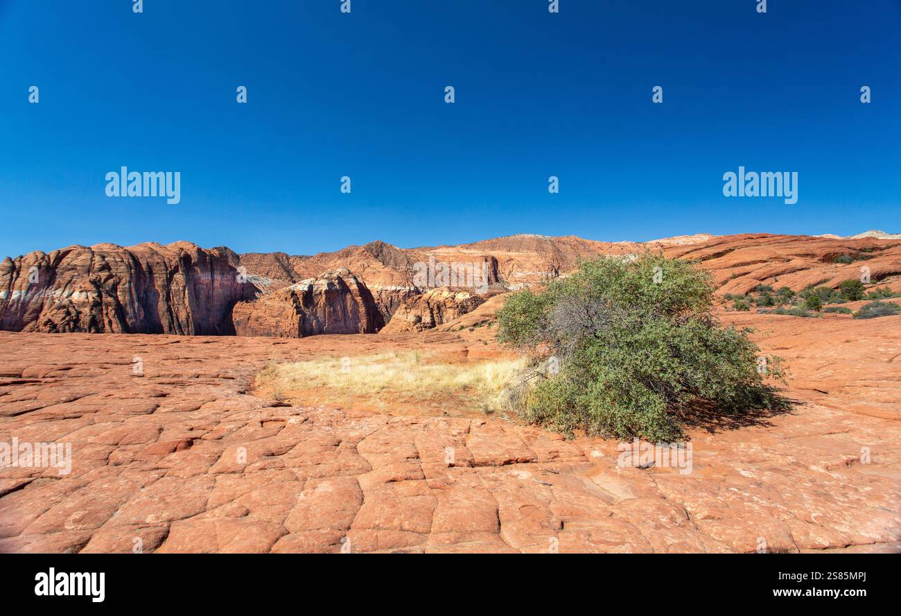 Petrified sand dunes, White Canyon State Park, Red Cliffs Desert ...