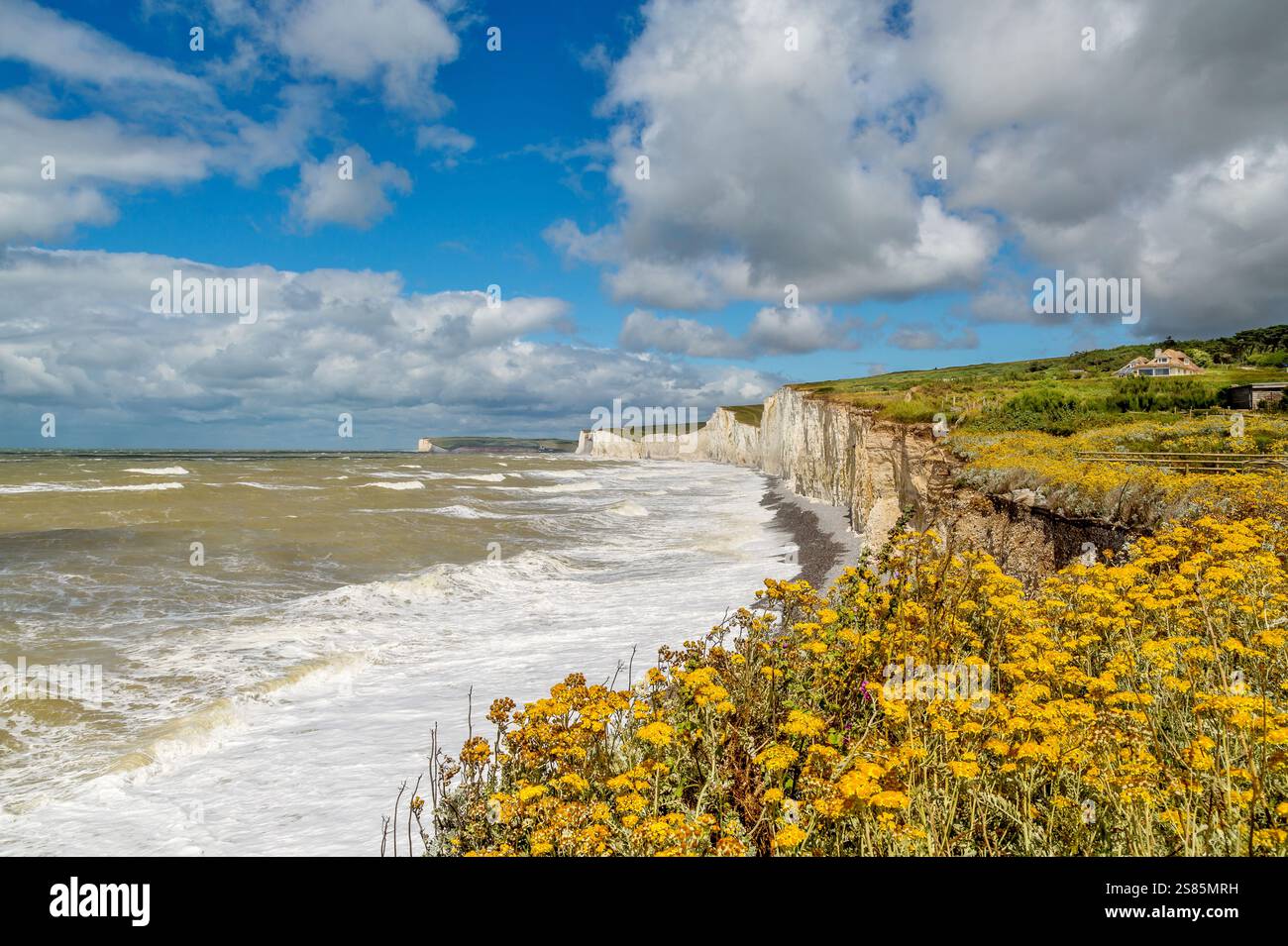 The Seven Sisters chalk cliffs from Birling Gap, South Downs National ...