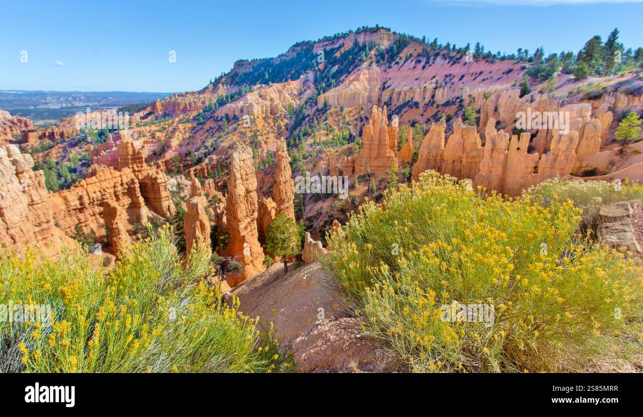 Fairyland Point and hoodoos, Bryce Canyon National Park, Utah, United ...