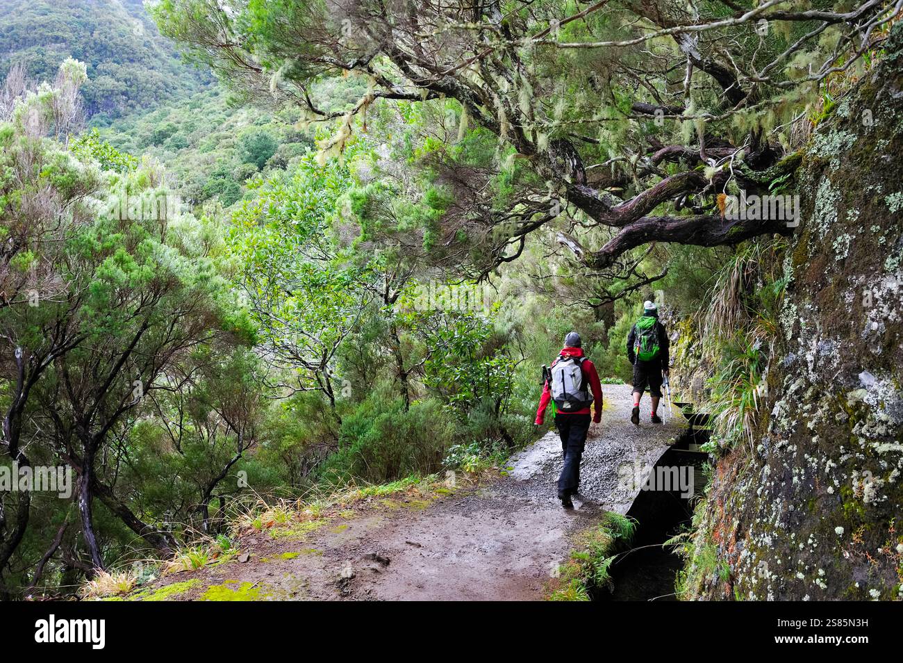 Hikers on Rabacal levada walk towards the 25 Fountains cirque, Madeira ...