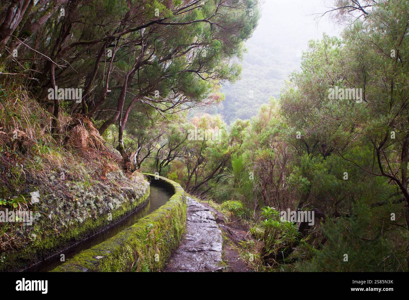 Rabacal levada walk towards the 25 Fountains cirque, Madeira island ...