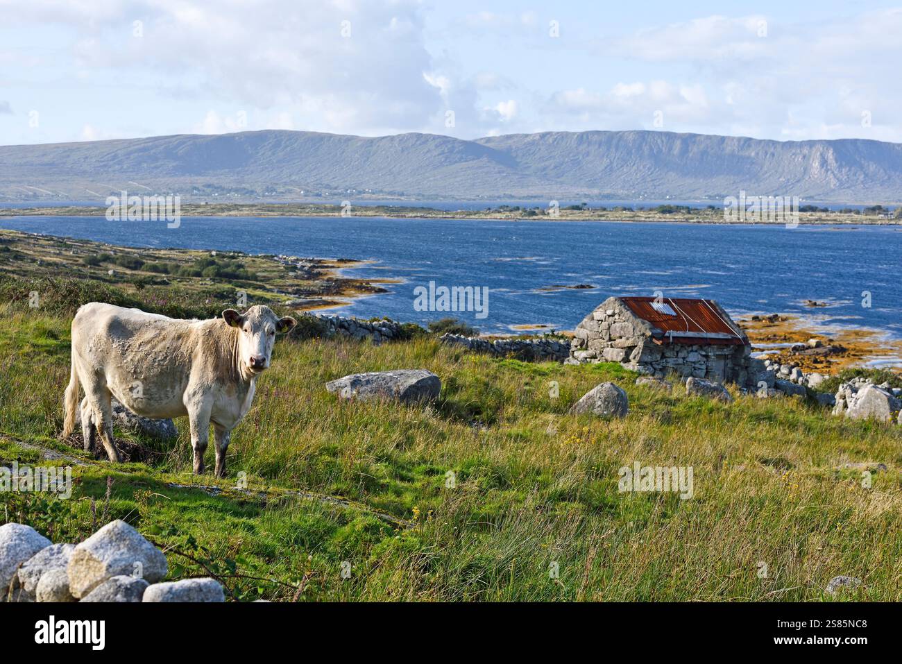 Landscape viewed from country road at the north of Lettermore island ...