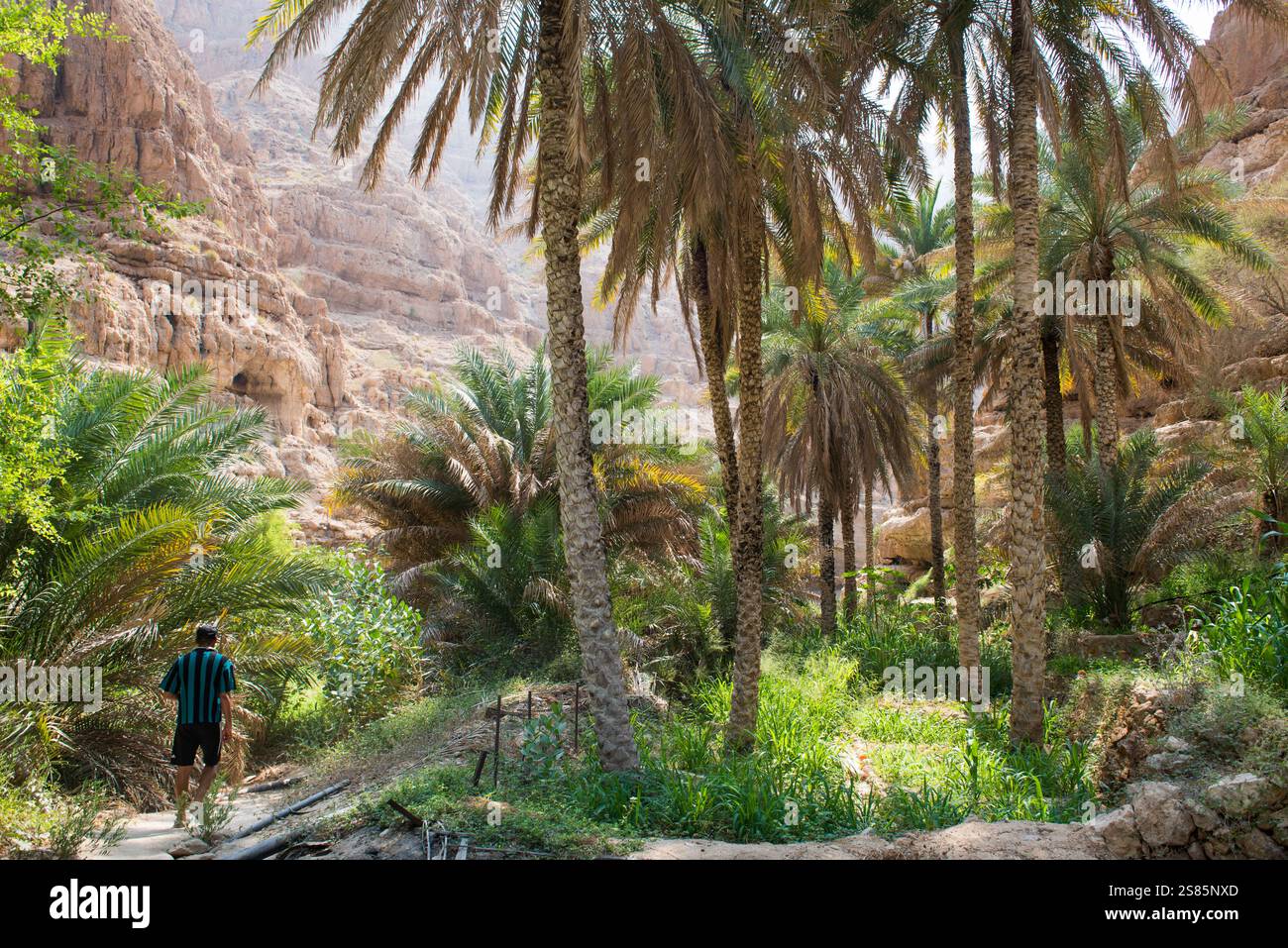 Wadi Shab, canyon near Tiwi, Sultanate of Oman, Arabian Peninsula Stock ...