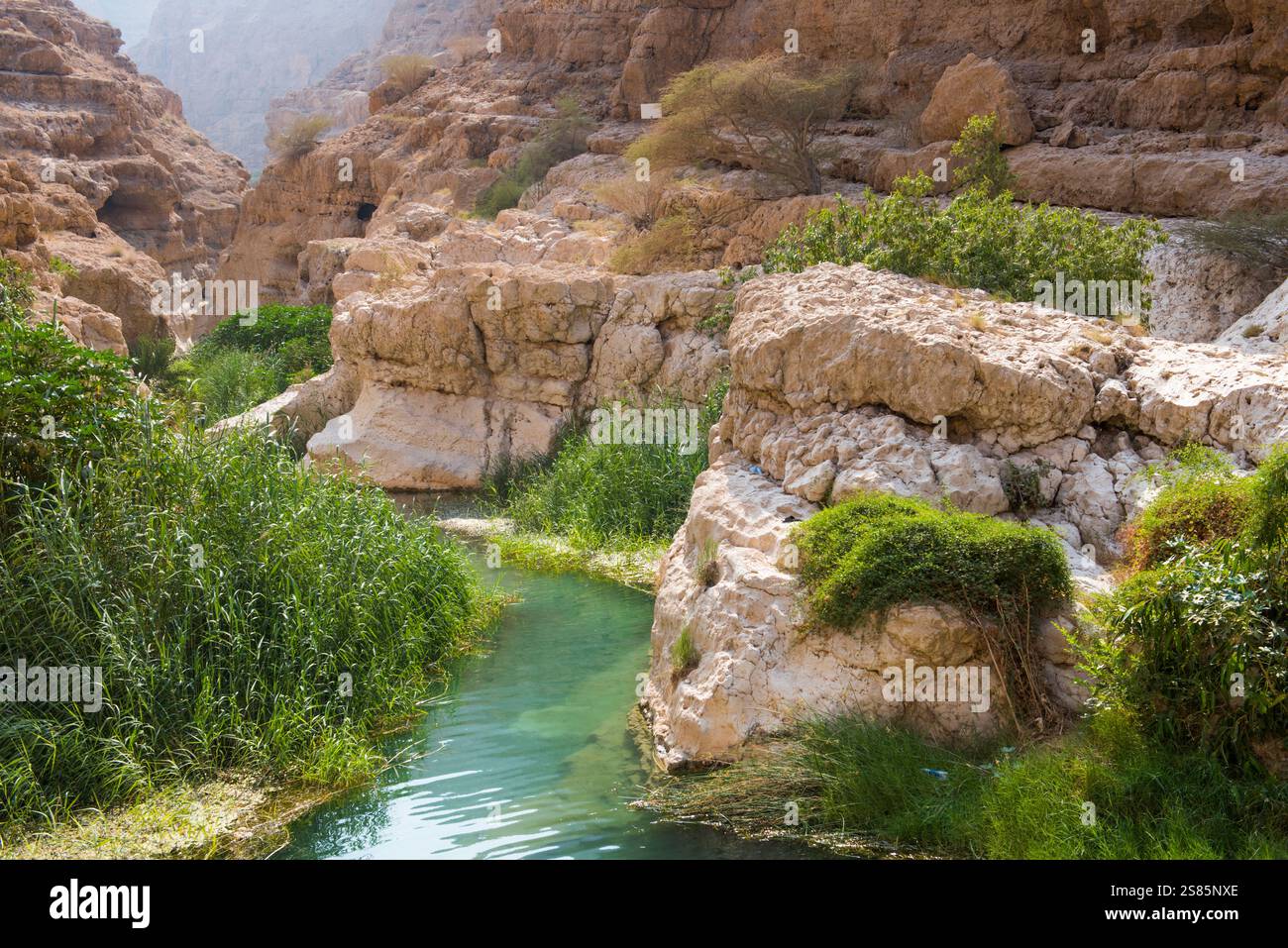 Wadi Shab, canyon near Tiwi, Sultanate of Oman, Arabian Peninsula Stock ...